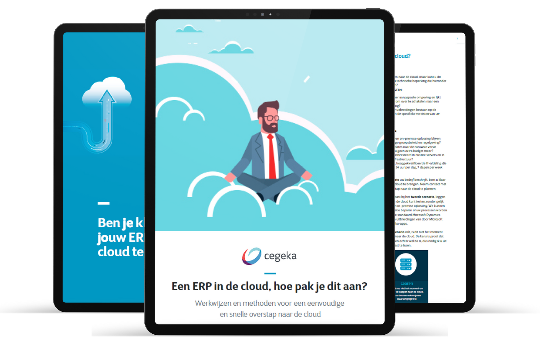 ERP in de cloud, hoe pak je dit aan? (ebook)